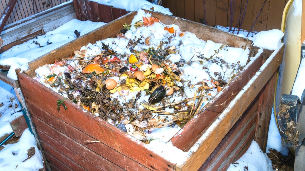 Kompostera på vintern - Går det? - Ekoappen